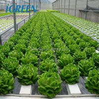 China IGREEN Large Single Layer PE Sawtooth Green House for Hot Weather Tropical Greenhouse with Roof Vent for sale