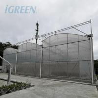 China IGREEN Large Single Layer PE Sawtooth Green House for Hot Weather Tropical Greenhouse with Roof Vent for sale