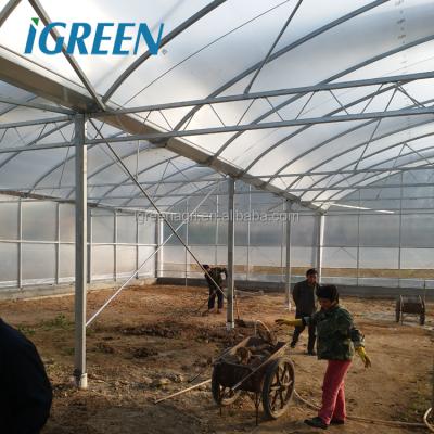 China IGREEN Large Single Layer PE Sawtooth Green House for Hot Weather Tropical Greenhouse with Roof Vent for sale