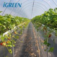 China Vertical Strawberry Growing Trough with Galvanized Steel Plate and Drip Irrigation System for Customizable Hydroponic Cultivation for sale