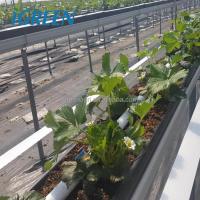 China Vertical Strawberry Growing Trough with Galvanized Steel Plate and Drip Irrigation System for Customizable Hydroponic Cultivation for sale