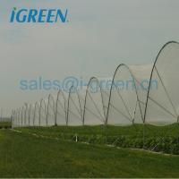 China Vertical Strawberry Growing Trough with Galvanized Steel Plate and Drip Irrigation System for Customizable Hydroponic Cultivation for sale