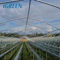 China Vertical Strawberry Growing Trough with Galvanized Steel Plate and Drip Irrigation System for Customizable Hydroponic Cultivation for sale