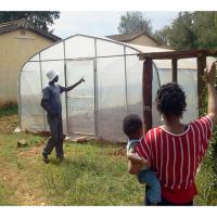 China Agricultural Single-Span Small PE Polytunnel Greenhouse for Outdoor Gardens with Natural Tunnel Design for sale
