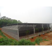 China Multi Span Single Layer Large PE Agriculture Medical Greenhouse for Vegetable for sale