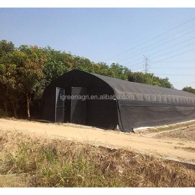 China Single-Span PE Shade Net Tunnel Blackout Greenhouse for Mushroom Cultivation for sale