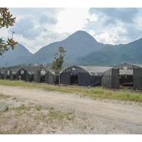 China Single-Span PE Shade Net Tunnel Blackout Greenhouse for Mushroom Cultivation for sale