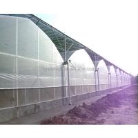 China Film Greenhouse Turnkey Project Tomato Greenhouse Single Layer Large Size PE Material for sale
