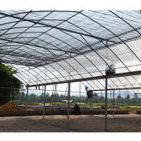 China Film Greenhouse Turnkey Project Tomato Greenhouse Single Layer Large Size PE Material for sale