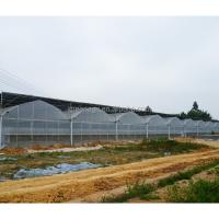 China Film Greenhouse Turnkey Project Tomato Greenhouse Single Layer Large Size PE Material for sale