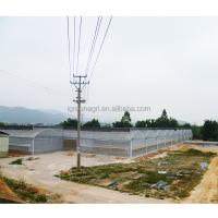 China Film Greenhouse Turnkey Project Tomato Greenhouse Single Layer Large Size PE Material for sale