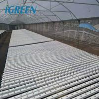 China Large Single Layer PE/PVC Multi-Span Agricultural Greenhouse with Flat NFT Lettuce Hydroponic System for sale