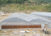 China Large Single Layer PE Film Multi-Span Agricultural Greenhouse Metal Frame Cold Frame for sale