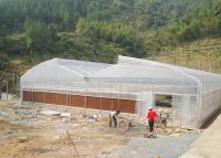 China Large Single Layer PE Film Multi-Span Agricultural Greenhouse Metal Frame Cold Frame for sale