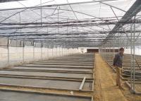 China Large Single Layer PE Film Multi-Span Agricultural Greenhouse Metal Frame Cold Frame for sale