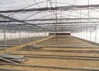 China Large Single Layer PE Film Multi-Span Agricultural Greenhouse Metal Frame Cold Frame for sale