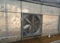 China Large Single Layer PE Film Multi-Span Agricultural Greenhouse Metal Frame Cold Frame for sale