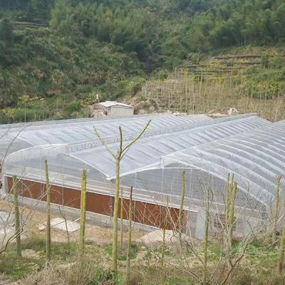 China Large Single Layer PE Film Multi-Span Agricultural Greenhouse Metal Frame Cold Frame for sale
