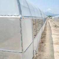 China Transparent PE Agricultural Film & Greenhouse Cover Small Single-Span Film Roll with Anti-Aging for Agriculture for sale