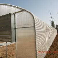 China Fiberglass Sheets PE Single Layer Large Multi-Span Agricultural Greenhouses for Gulf Countries Conservatory Use for sale