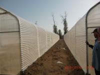 China Fiberglass Sheets PE Single Layer Large Multi-Span Agricultural Greenhouses for Gulf Countries Conservatory Use for sale