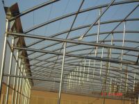 China Fiberglass Sheets PE Single Layer Large Multi-Span Agricultural Greenhouses for Gulf Countries Conservatory Use for sale