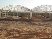 China Fiberglass Sheets PE Single Layer Large Multi-Span Agricultural Greenhouses for Gulf Countries Conservatory Use for sale