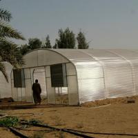 China Fiberglass Sheets PE Single Layer Large Multi-Span Agricultural Greenhouses for Gulf Countries Conservatory Use for sale