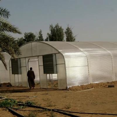 China Fiberglass Sheets PE Single Layer Large Multi-Span Agricultural Greenhouses for Gulf Countries Conservatory Use for sale