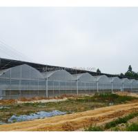 China Large Single Layer PE Greenhouse Agricultural Film for Organic Vegetable for sale