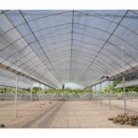 China Large Single Layer PE Greenhouse Agricultural Film for Organic Vegetable for sale