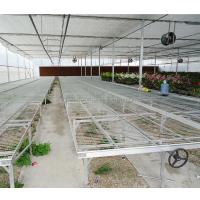 China Large Single Layer PE Greenhouse Agricultural Film for Organic Vegetable for sale