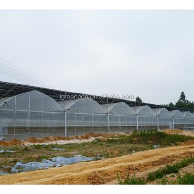 China Large Single Layer PE Greenhouse Agricultural Film for Organic Vegetable for sale