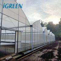 China Tomato and Strawberry Large Single Layer Multi-Span Agricultural Greenhouse Turnkey Project with PE Film Cover Green Brand for sale