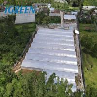 China Tomato and Strawberry Large Single Layer Multi-Span Agricultural Greenhouse Turnkey Project with PE Film Cover Green Brand for sale