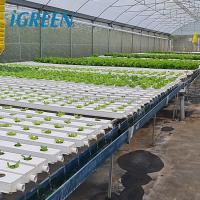 China Tomato and Strawberry Large Single Layer Multi-Span Agricultural Greenhouse Turnkey Project with PE Film Cover Green Brand for sale