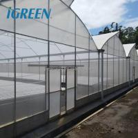 China Tomato and Strawberry Large Single Layer Multi-Span Agricultural Greenhouse Turnkey Project with PE Film Cover Green Brand for sale