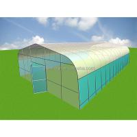 China Low Cost Hot Sale Small Single-Span Agricultural Polytunnel Berry Greenhouse PE Film Cover Vegetable Flowers Growing for sale