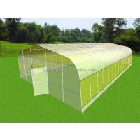 China Low Cost Hot Sale Small Single-Span Agricultural Polytunnel Berry Greenhouse PE Film Cover Vegetable Flowers Growing for sale
