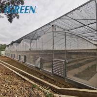 China Large Single Layer Multi-span Agricultural Greenhouses with PE Film Cover for Plant Growth for sale