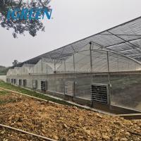 China Large Single Layer Multi-span Agricultural Greenhouses with PE Film Cover for Plant Growth for sale