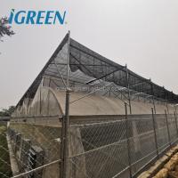 China Large Single Layer Multi-span Agricultural Greenhouses with PE Film Cover for Plant Growth for sale