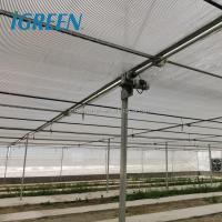 China Large Single Layer Multi-span Agricultural Greenhouses with PE Film Cover for Plant Growth for sale