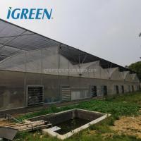 China Large Single Layer Multi-span Agricultural Greenhouses with PE Film Cover for Plant Growth for sale