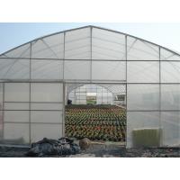 China Durable Poly Small Agricultural Greenhouse Tunnel Roses Professional Flower Growing UV-Resistant PE Film Cover Ventilation for sale