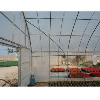 China Durable Poly Small Agricultural Greenhouse Tunnel Roses Professional Flower Growing UV-Resistant PE Film Cover Ventilation for sale