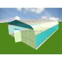 China Durable Poly Small Agricultural Greenhouse Tunnel Roses Professional Flower Growing UV-Resistant PE Film Cover Ventilation for sale