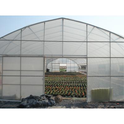 China Durable Poly Small Agricultural Greenhouse Tunnel Roses Professional Flower Growing UV-Resistant PE Film Cover Ventilation for sale