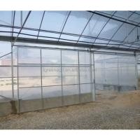 China Large Multi-Span PE Film Greenhouse with Single Layer for Hydroponic Tomato Plant Growth for sale