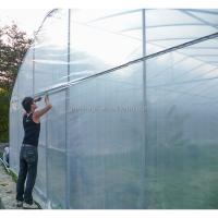 China Winter Performance Single-span Agricultural Greenhouse with PE Film Cover Low Cost Hot Sale for sale